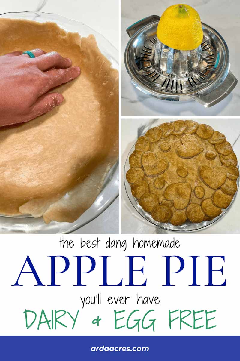 the best dang apple pie you’ll ever have *dairy & egg free* - Arda Acres